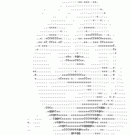 ascii art – Vanessa VanAlstyne